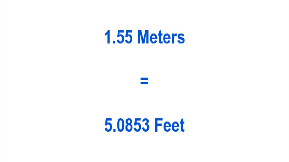 How To Calculate 1 55 Meters To Feet how-to-calculate-1-55-meters-to-feet
